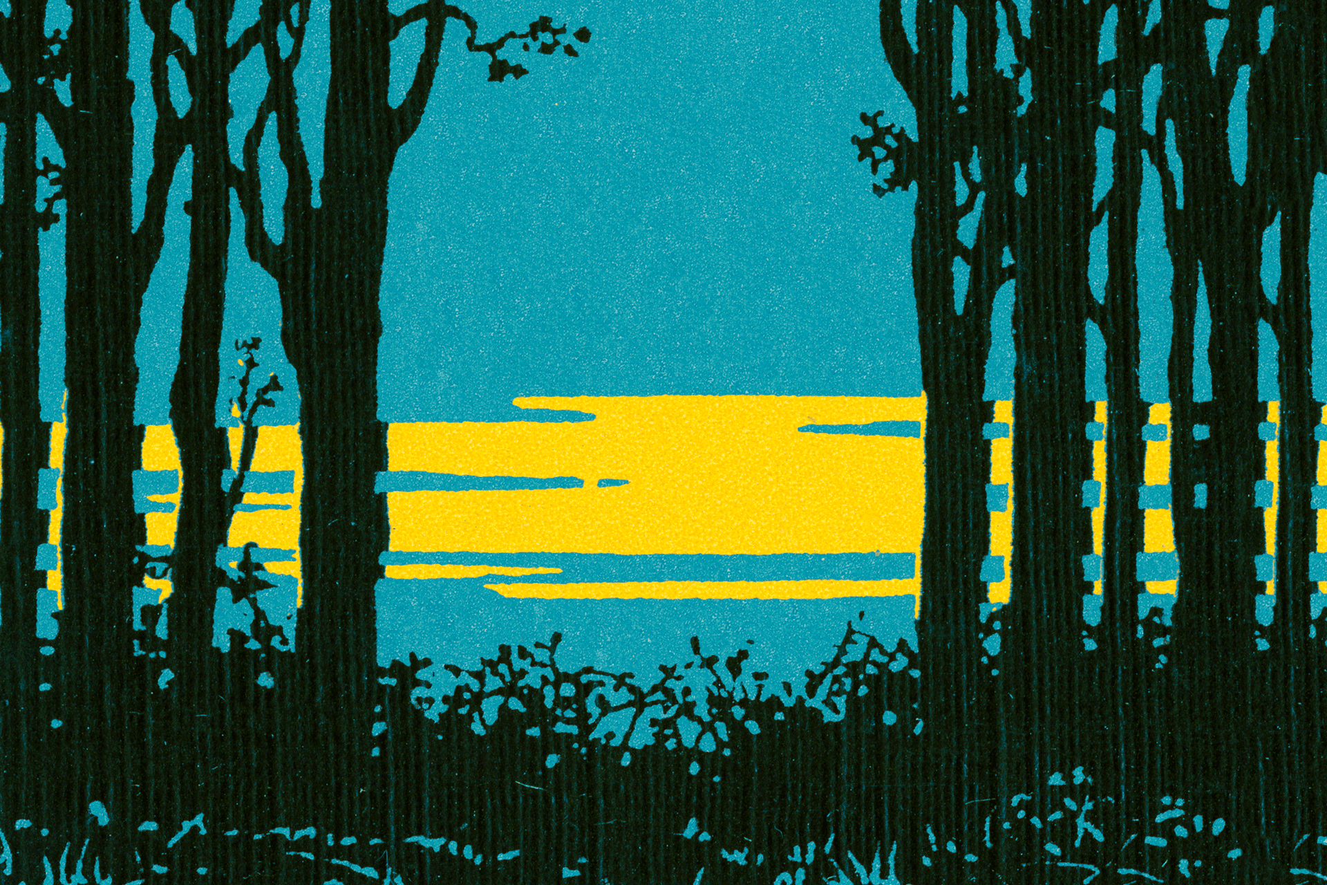 For women who write, Mslexia is a national magazine of women's writing.